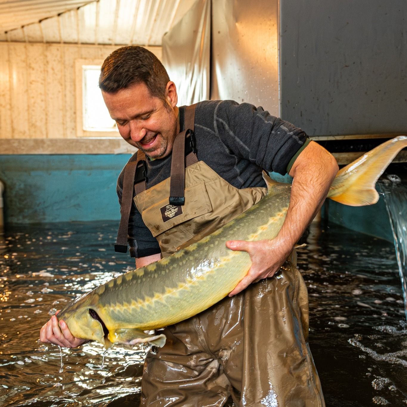 Farm to Table Caviar: The Elegant New Entry to South Jersey’s ...